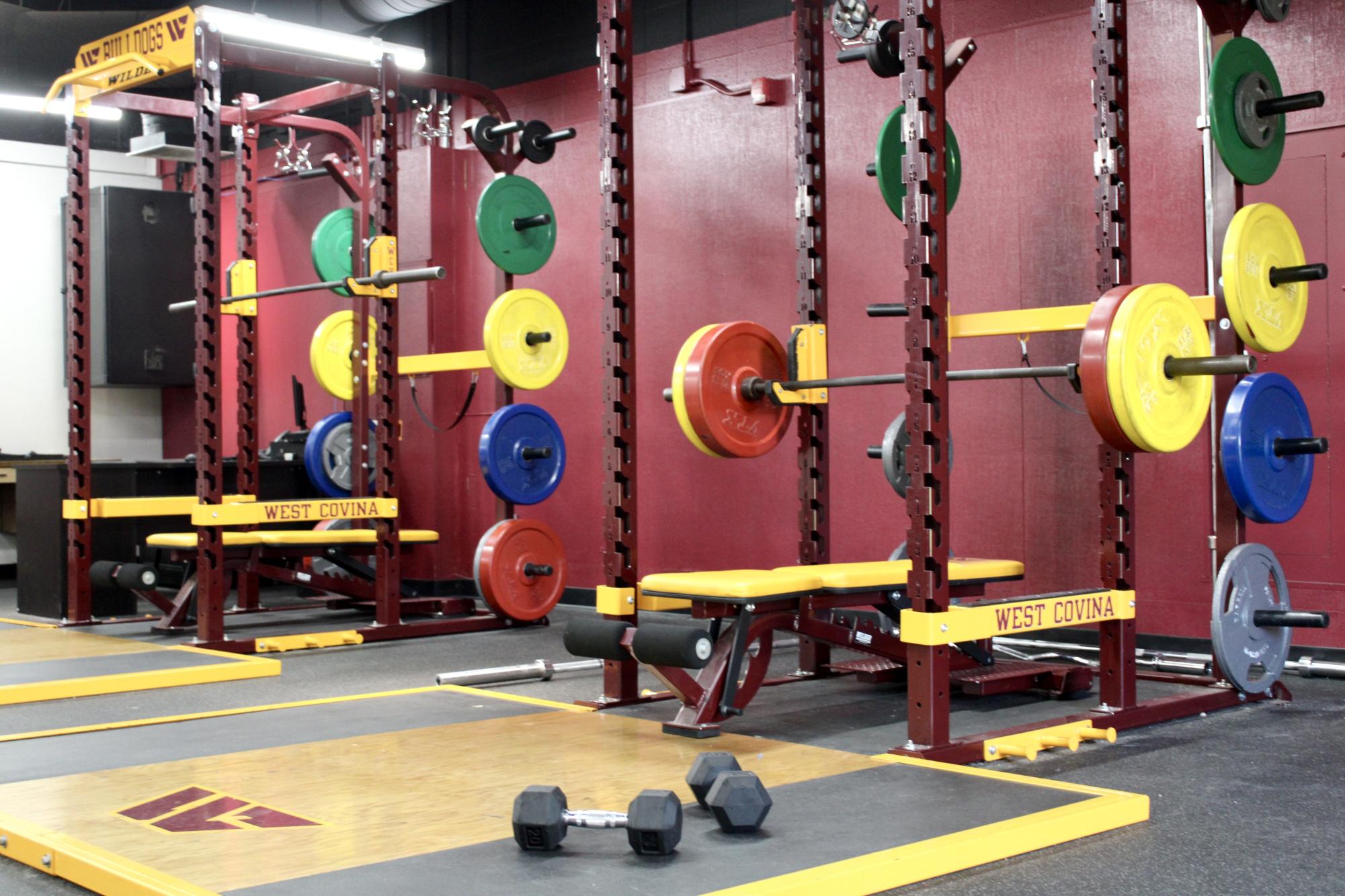 Students’ journey to physical and mental strength – WCHS Insight Students’ journey to physical and mental strength – WCHS Insight